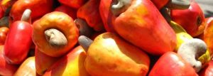 FRUTAS DE EL SALVADOR - MIPATRIA.NET